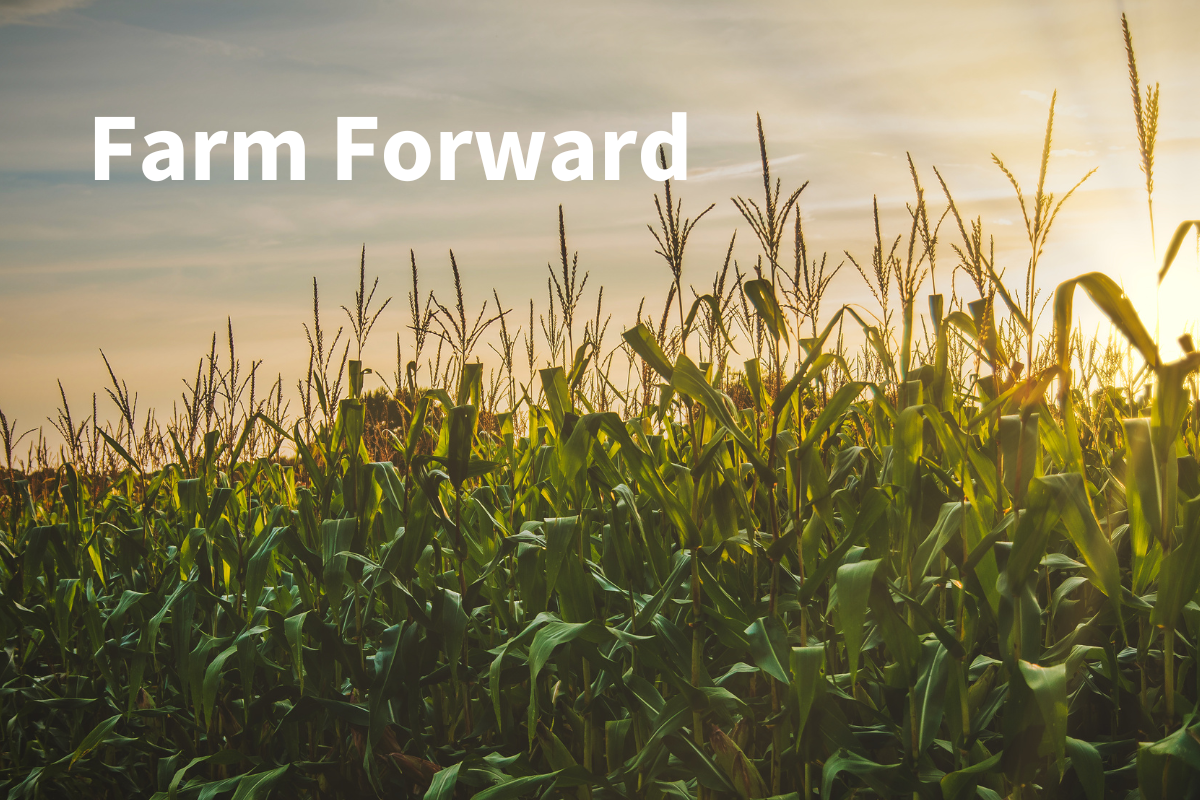Farm Forward: Turning Last Season’s Challenges Into Next Season’s Triumphs | Serving Carroll ...